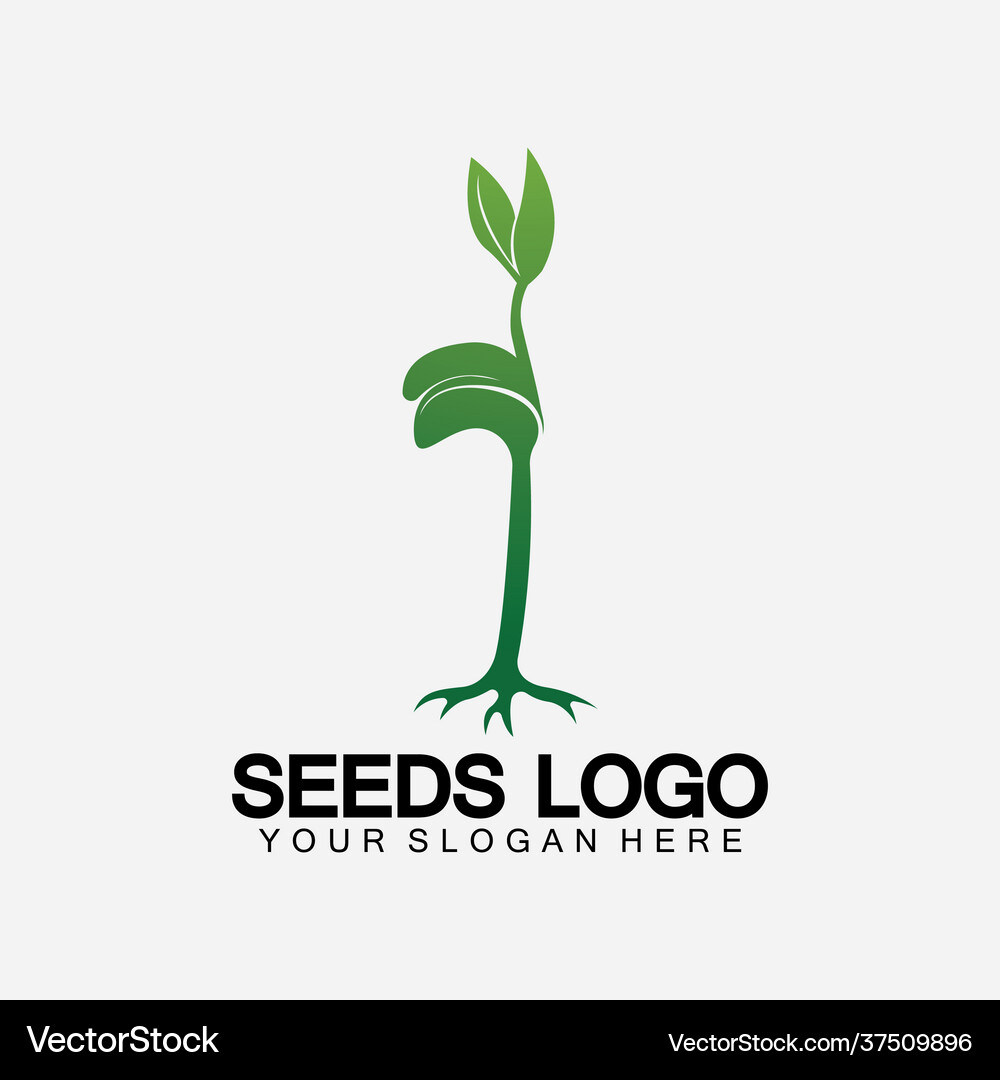Plant seeds logo concept template growing seed Vector Image