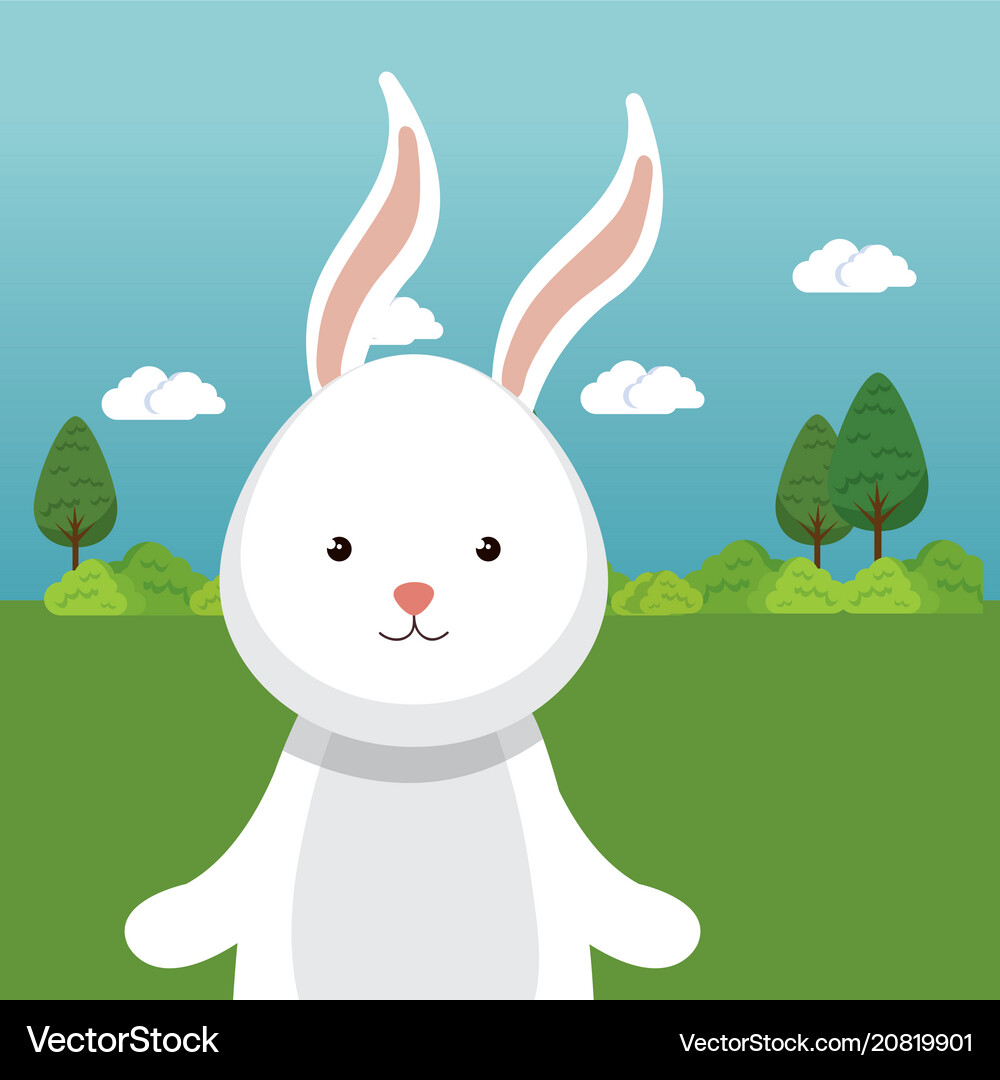 Cute rabbit in the field landscape character Vector Image