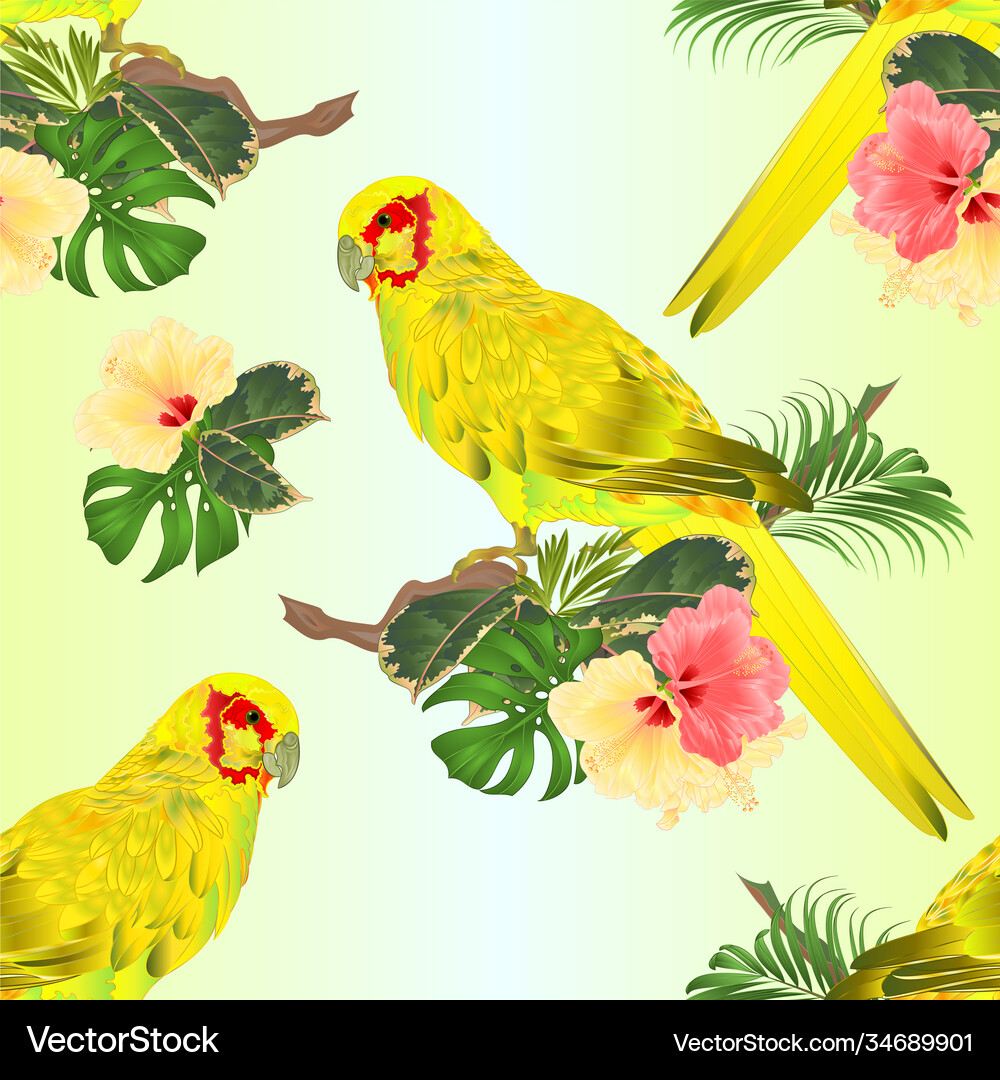 Seamless texture bird parrot in yellow indian Vector Image