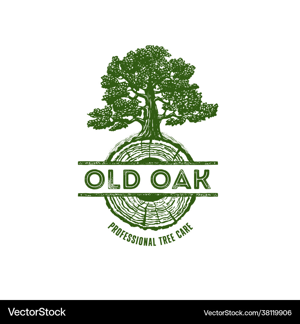 Old oak professional arborist tree care service Vector Image