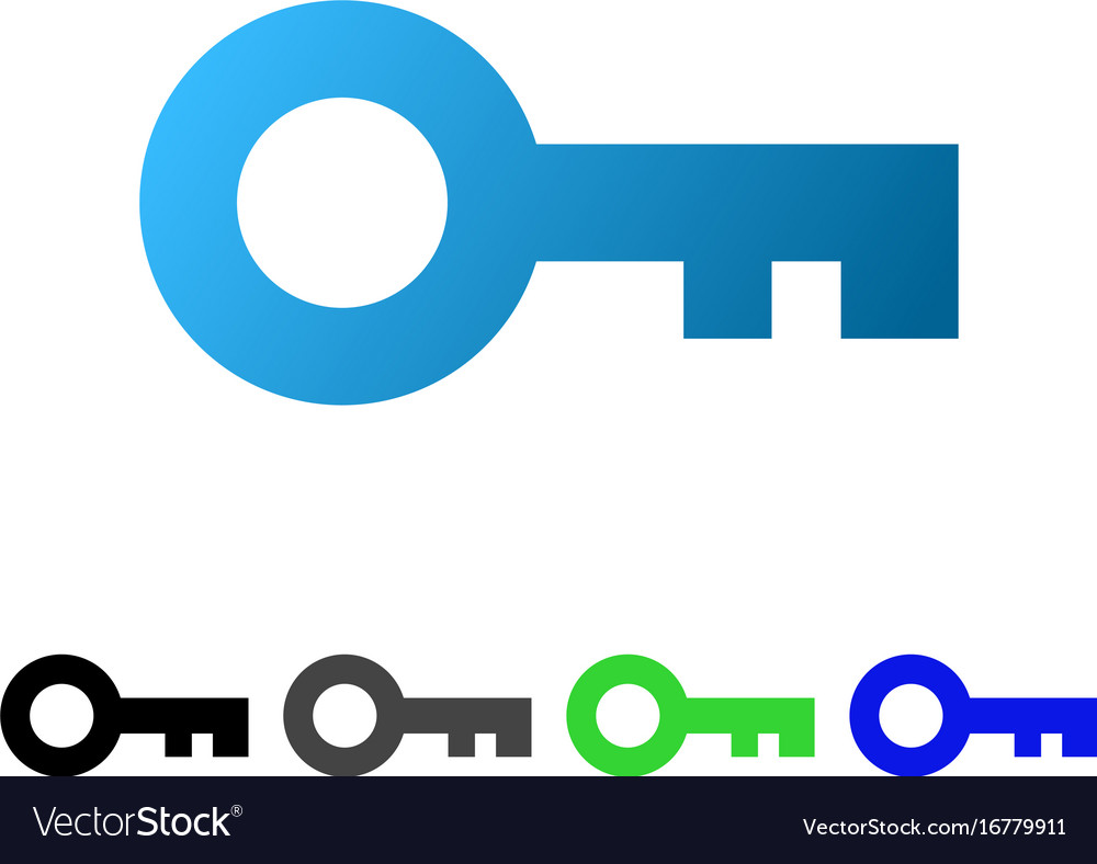Key flat gradient icon Royalty Free Vector Image