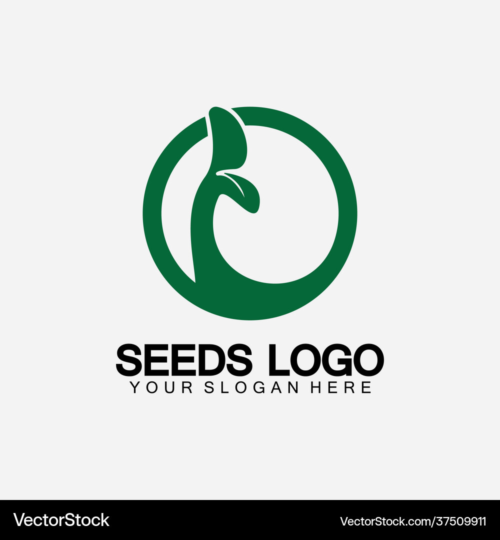 Plant seeds logo concept template growing seed Vector Image