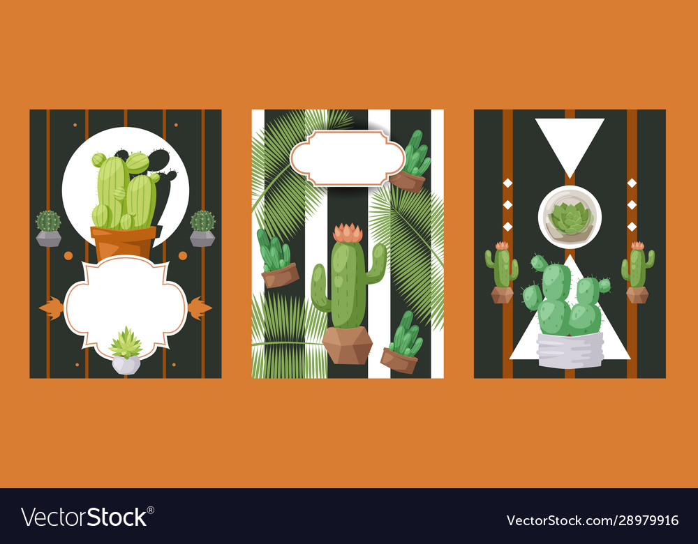 Cactus banners houseplant Royalty Free Vector Image