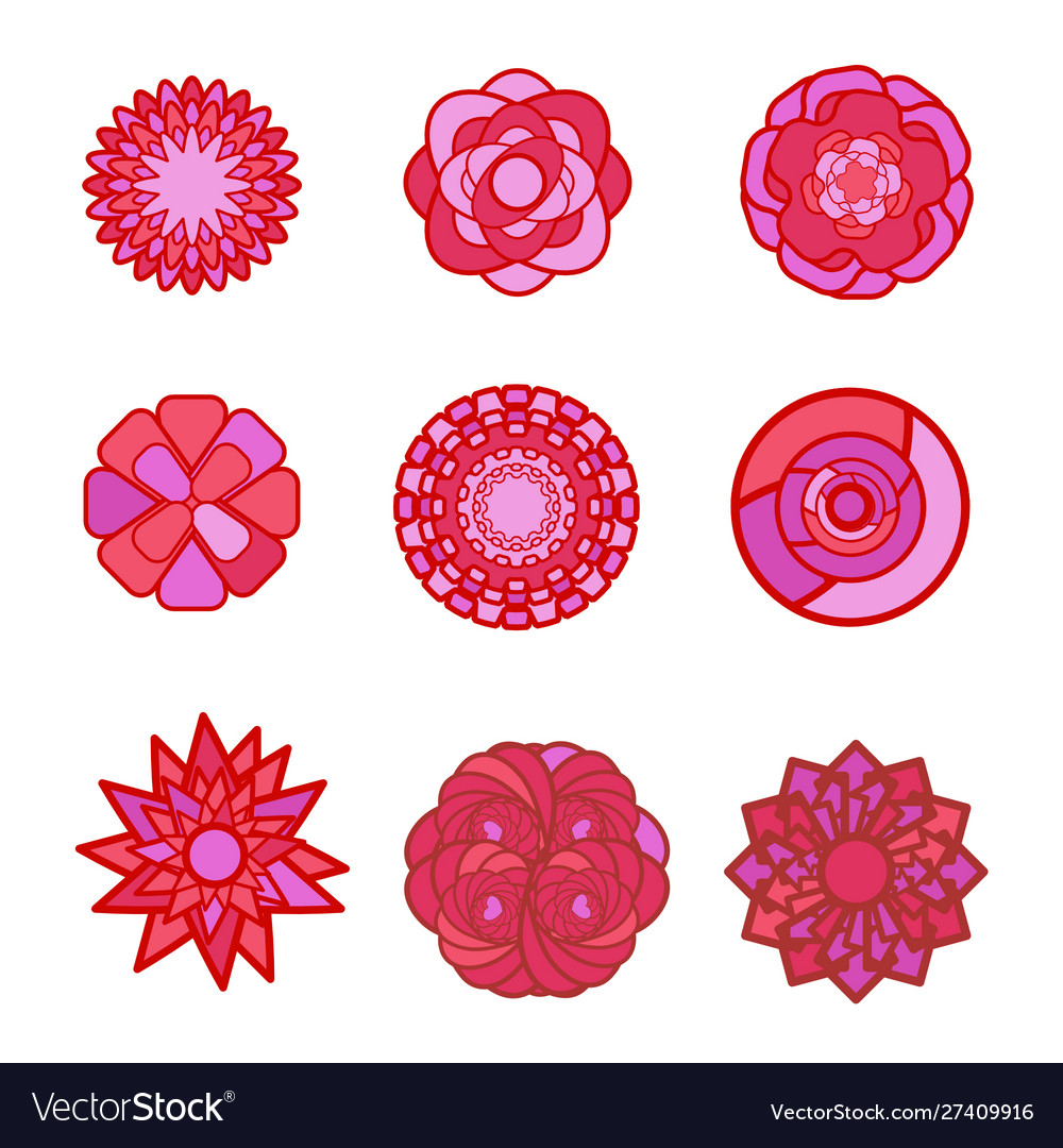 Flower design elements Royalty Free Vector Image