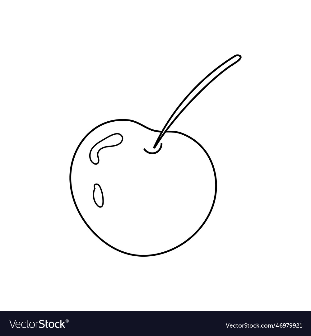 Hand drawn cherry Royalty Free Vector Image - VectorStock