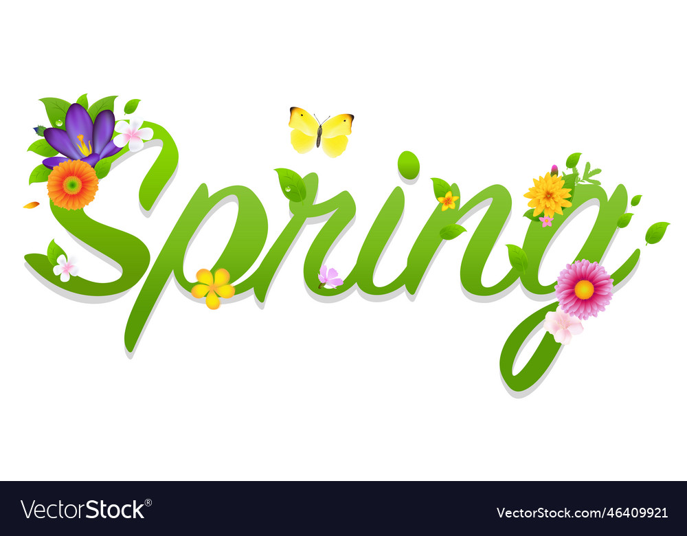 Spring text and isolated white background Vector Image