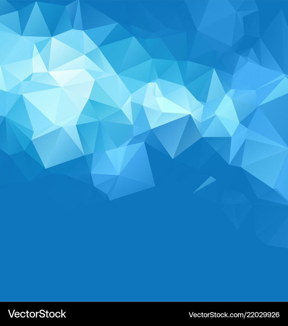 Polygon abstract modern polygonal geometric Vector Image