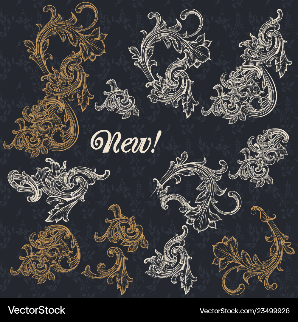 Set of calligraphic elements and page decorations Vector Image