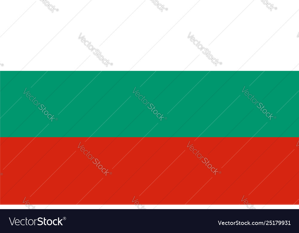 Flag rectangular shape Royalty Free Vector Image