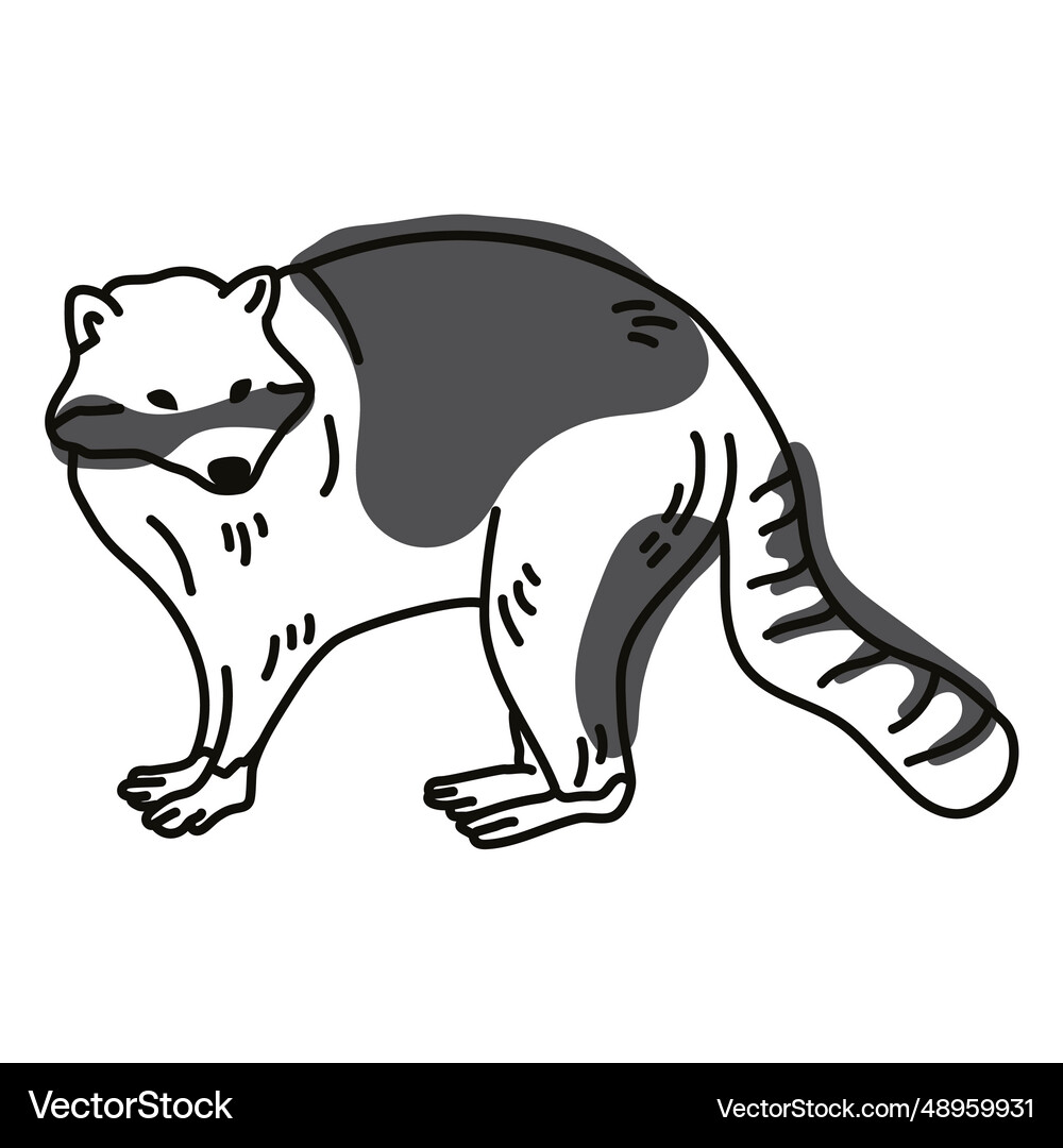 Raccoon animal stroke Royalty Free Vector Image