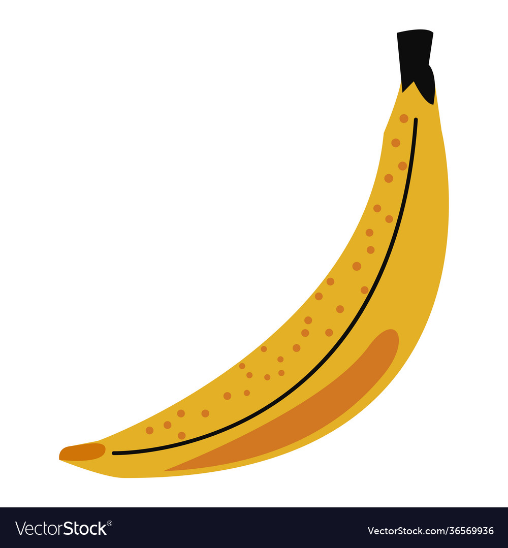 Fresh banana fruit Royalty Free Vector Image - VectorStock