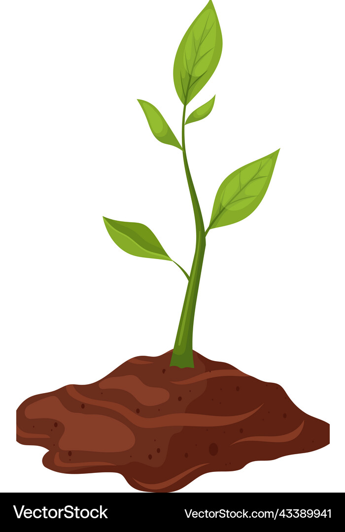 Plant leaves appeared cartoon Royalty Free Vector Image