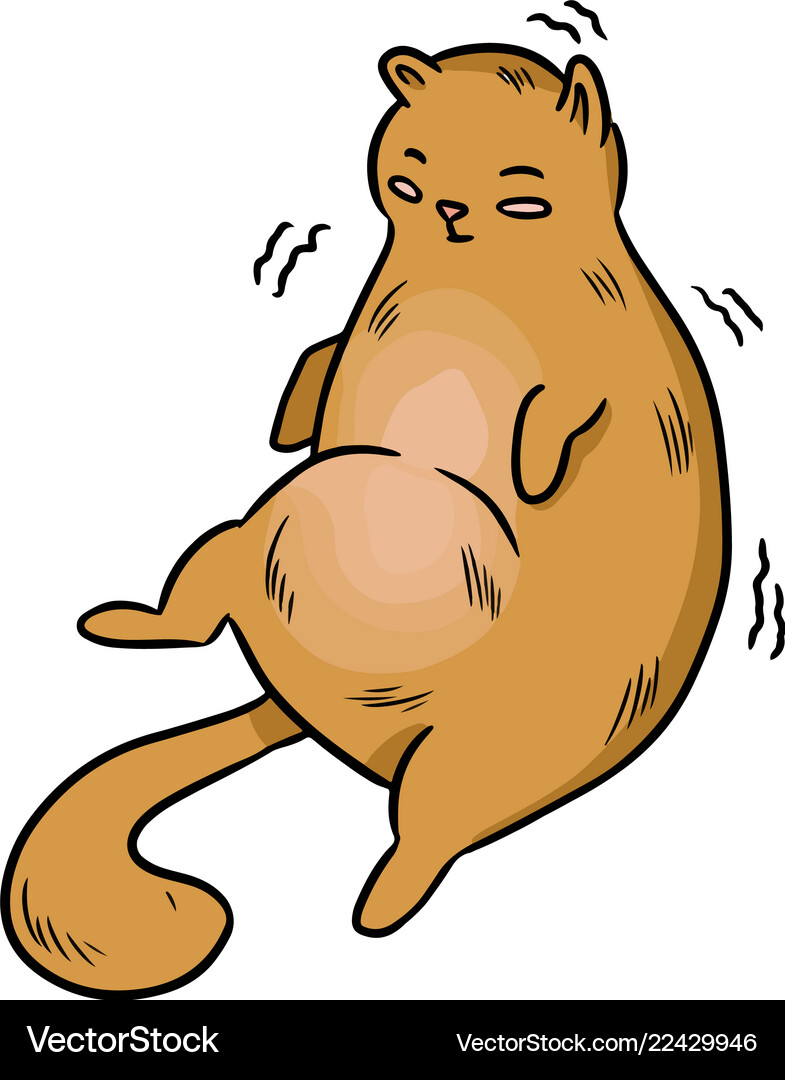 Cute chubcat for greeting cards Royalty Free Vector Image