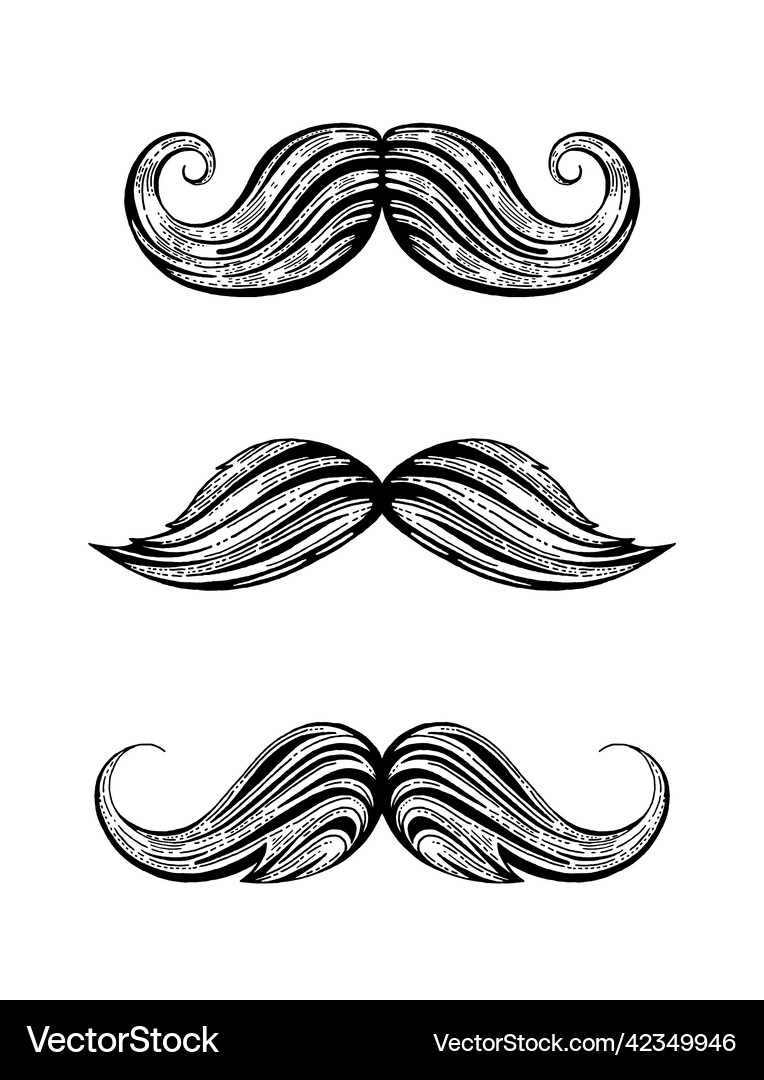 Moustache set isolated mustache icons Royalty Free Vector