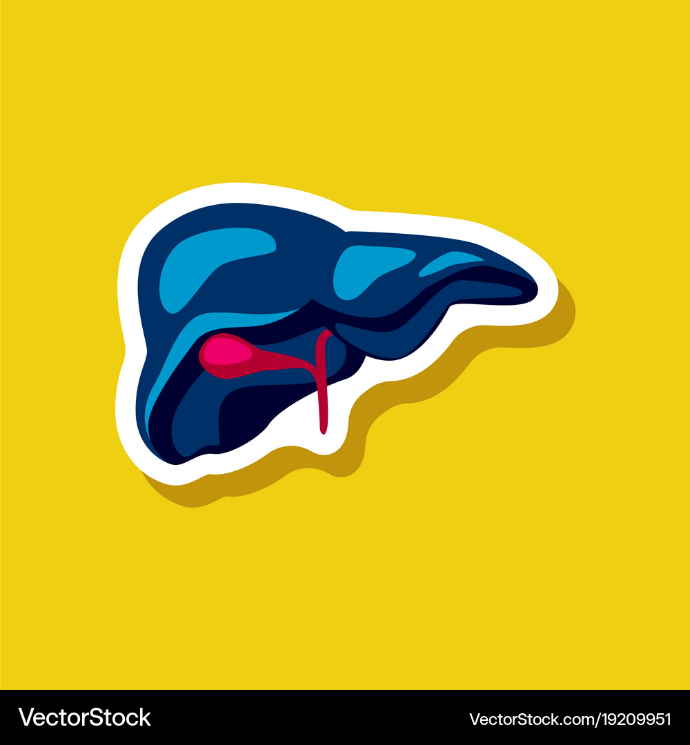Liver paper sticker on stylish background Vector Image