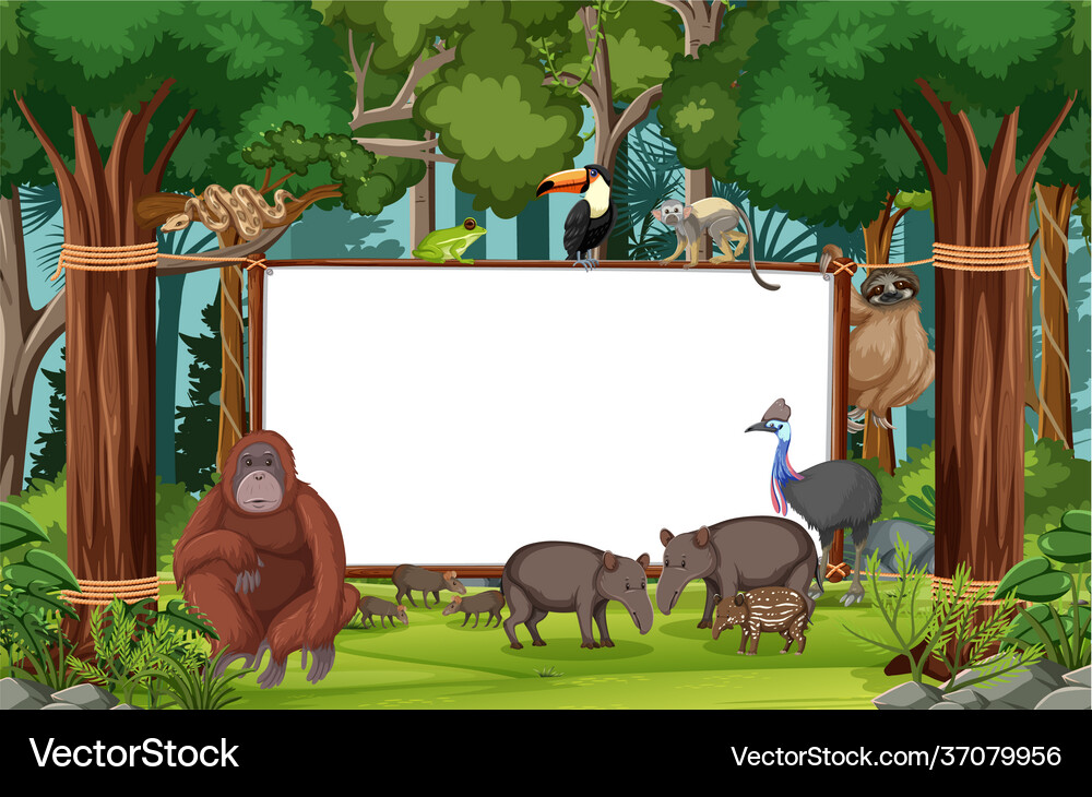 Blank banner in rainforest scene with wild Vector Image