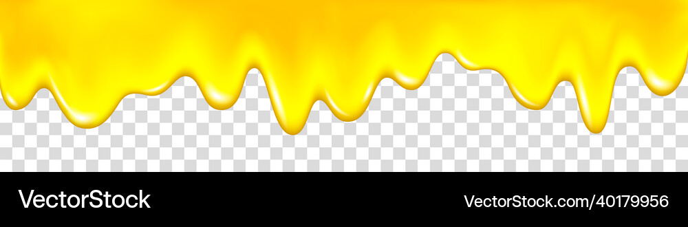 Dripping honey drip yellow syrup caramel jam Vector Image