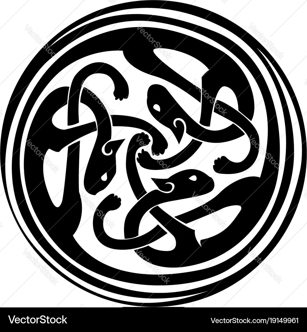 Celtic irish zoomorphic interwoven design in black