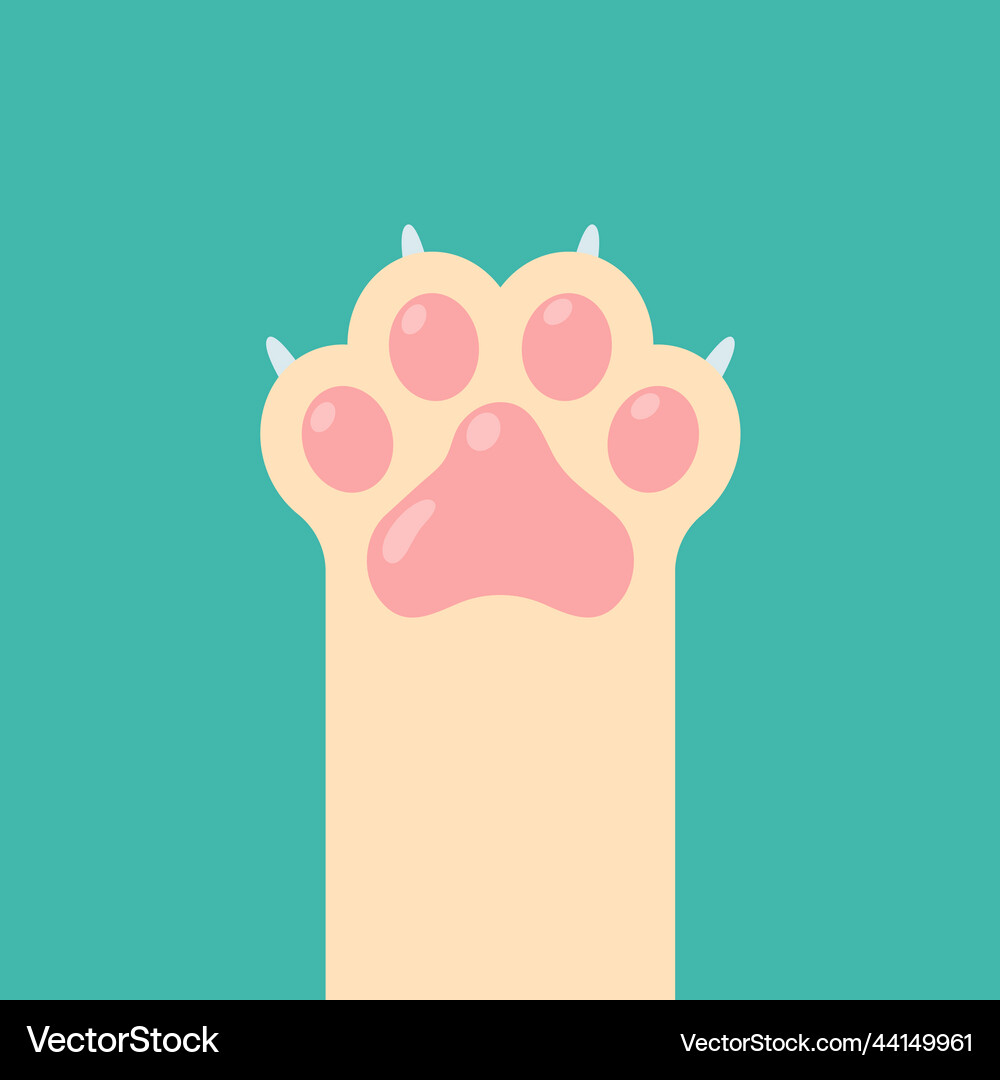 Do Dogs Have Sharp Claws