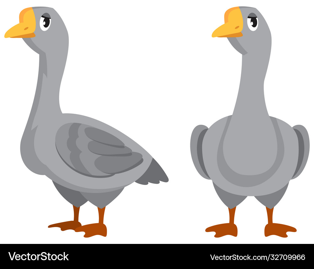 Male goose in different poses Royalty Free Vector Image