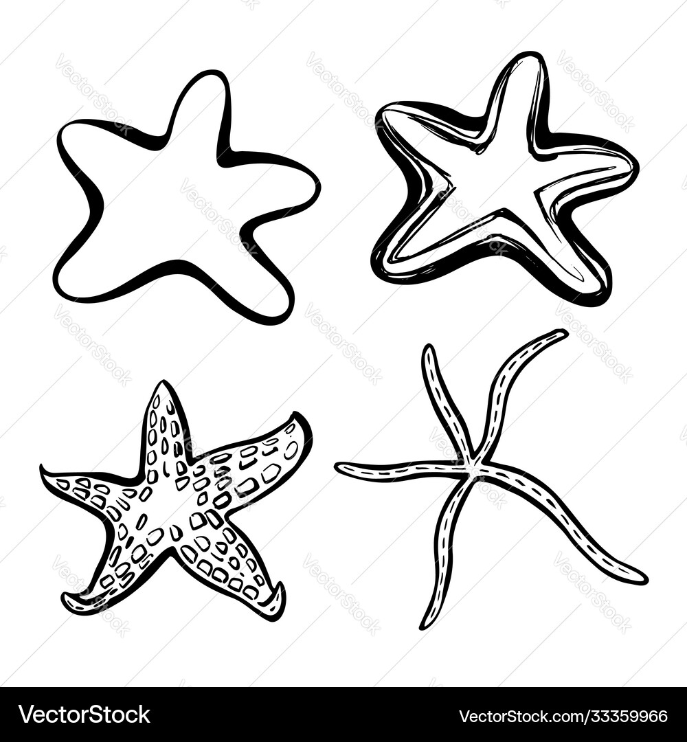 Sea star black line set on white Royalty Free Vector Image