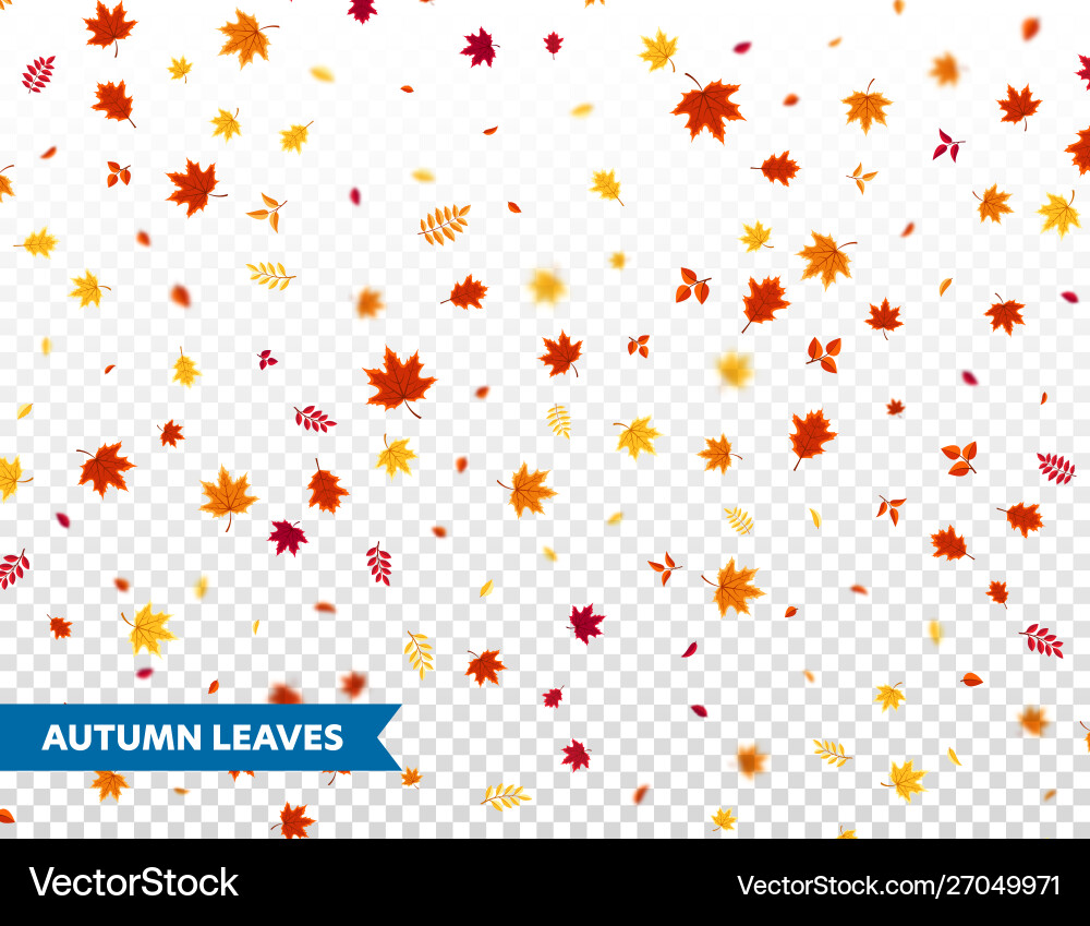 Autumn falling leaves nature background with red Vector Image