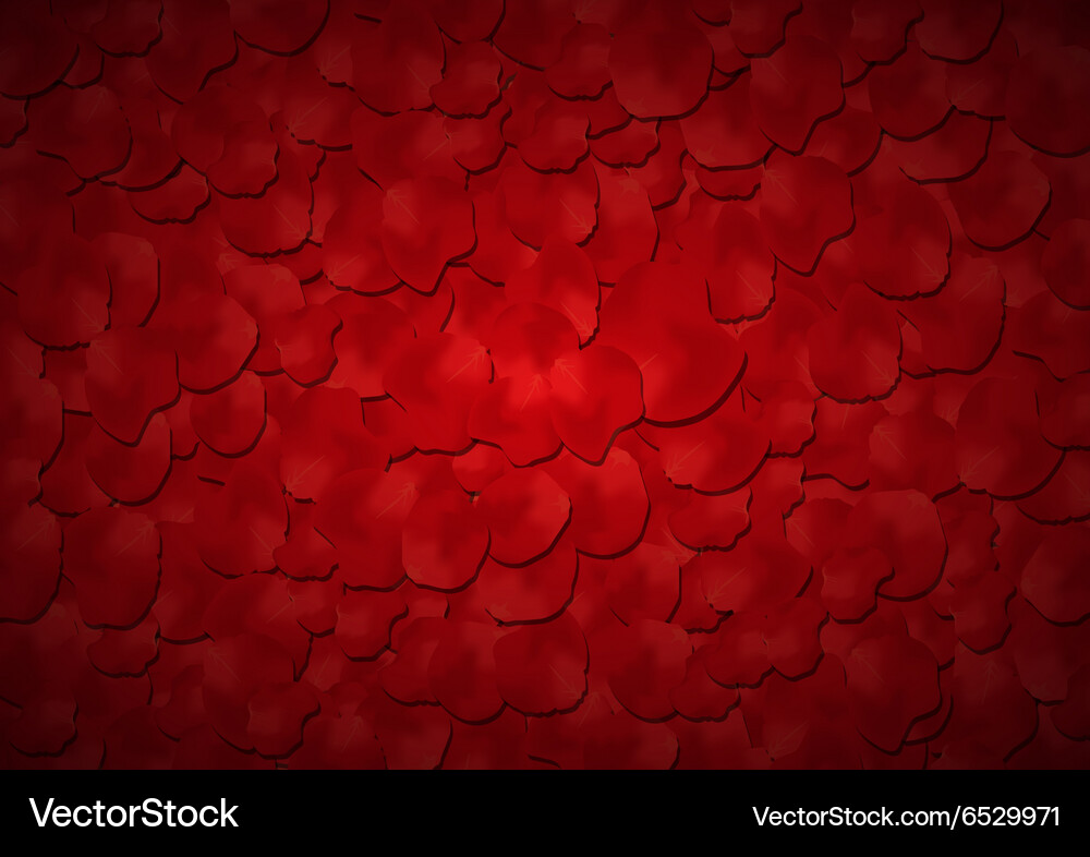 Red background of rose petals Royalty Free Vector Image
