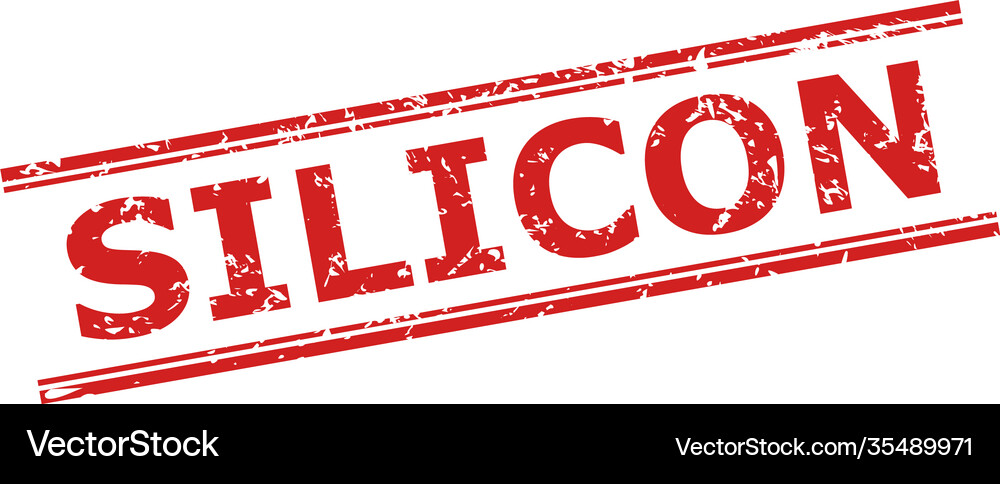 Silicon watermark with grunge style and double Vector Image