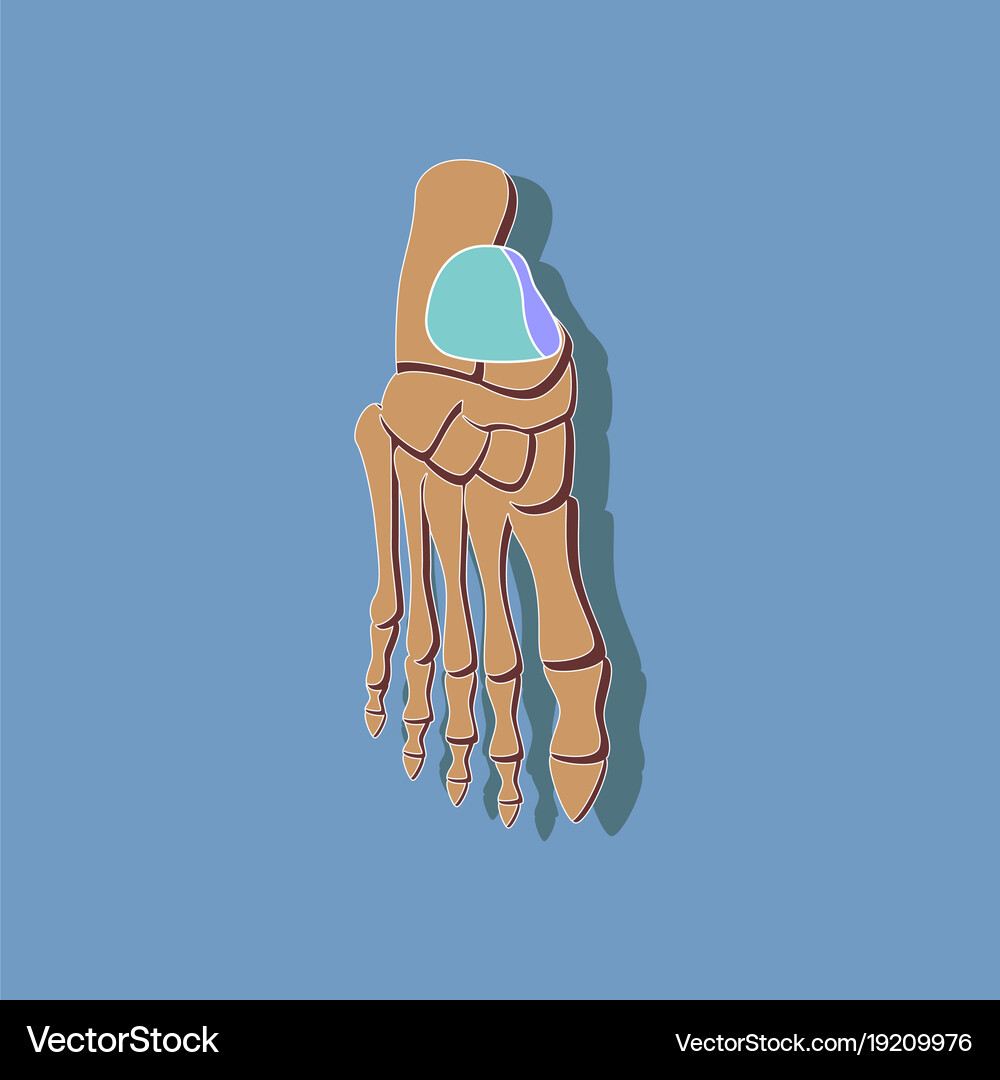 Foot skeleton paper sticker on stylish background Vector Image