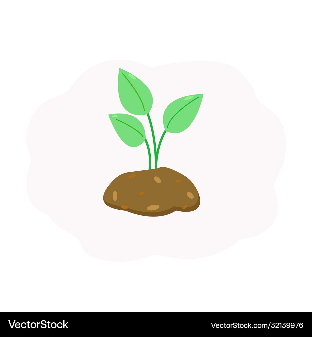 Plant for planting green sprout Royalty Free Vector Image
