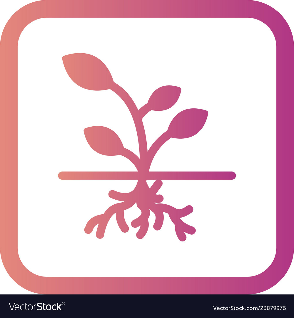 Root icon Royalty Free Vector Image - VectorStock