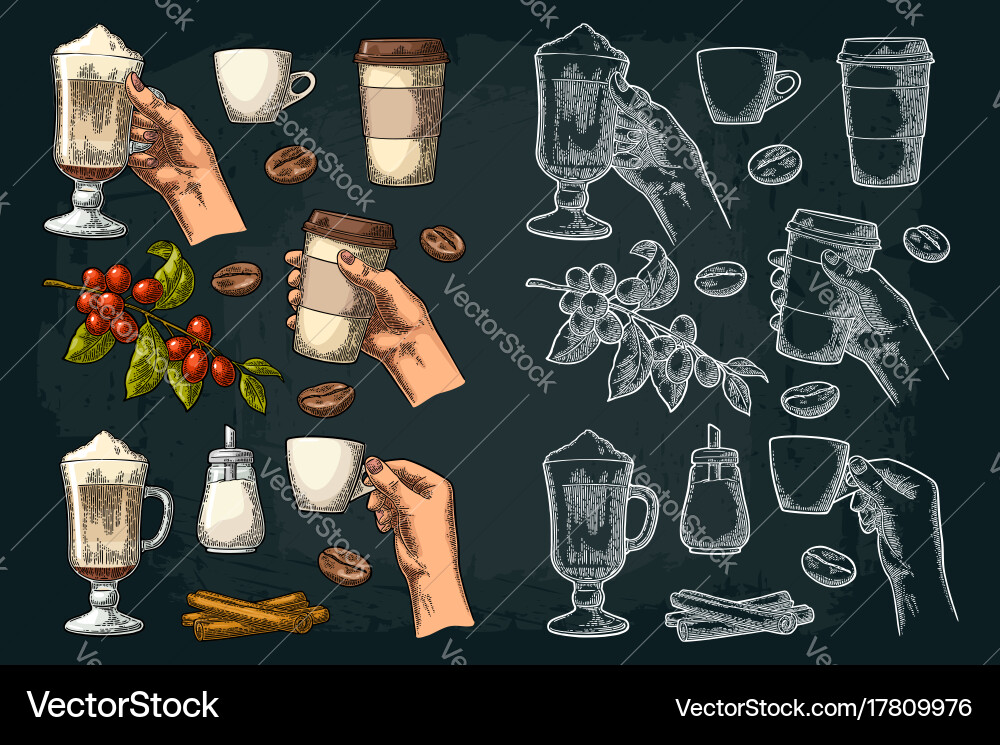 Set coffee glass latte hand hold cup branch Vector Image