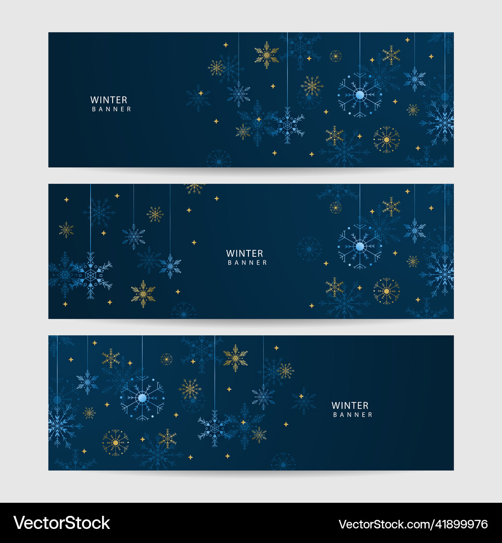 Winter dark blue snowflake design template banner Vector Image