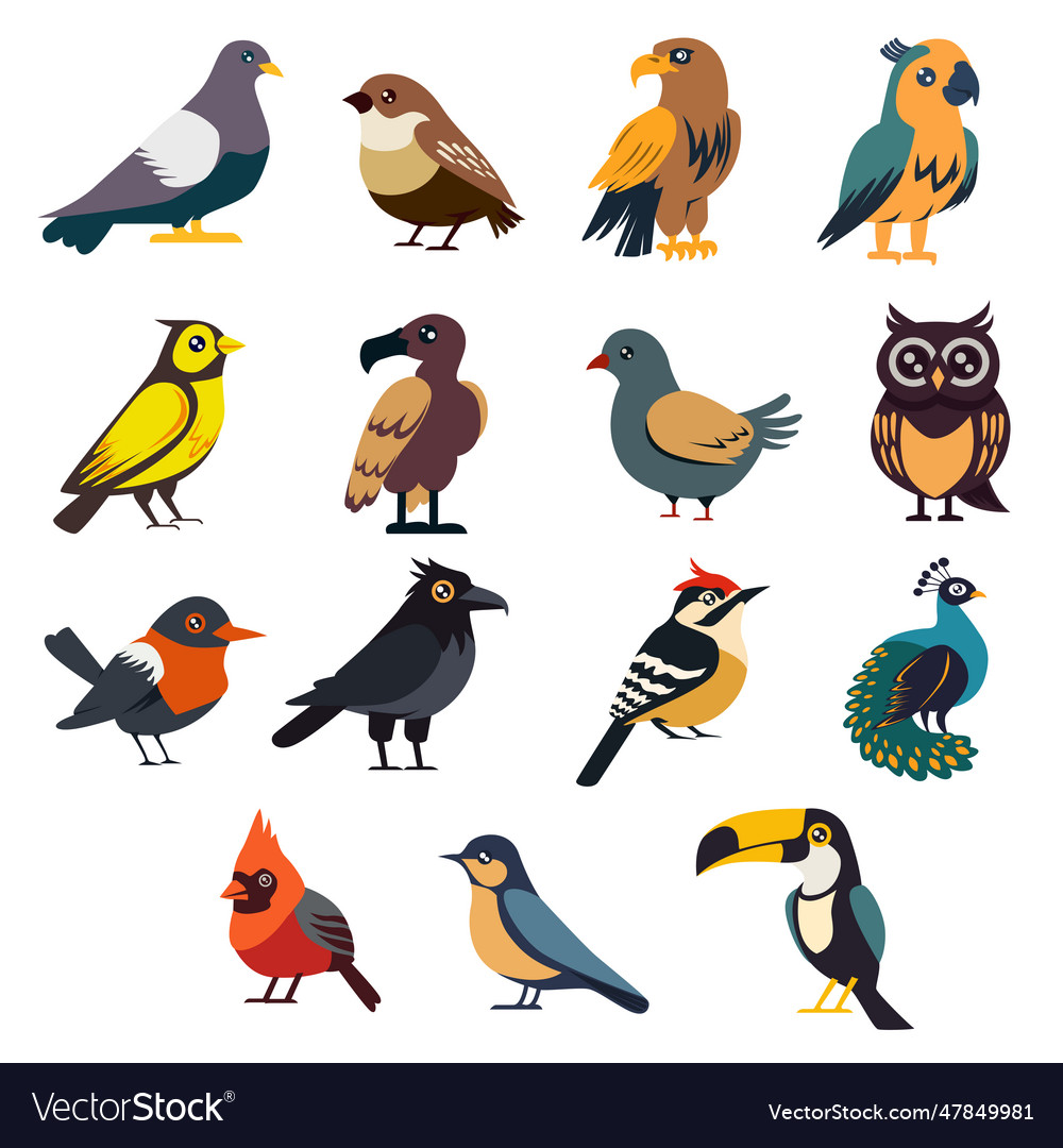 Bird cute bundle collection Royalty Free Vector Image