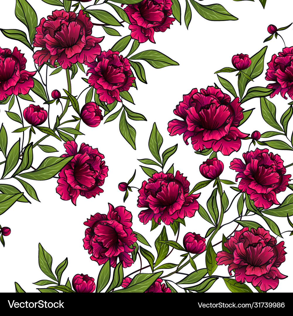 Pattern with red peony flowers and green leaves Vector Image