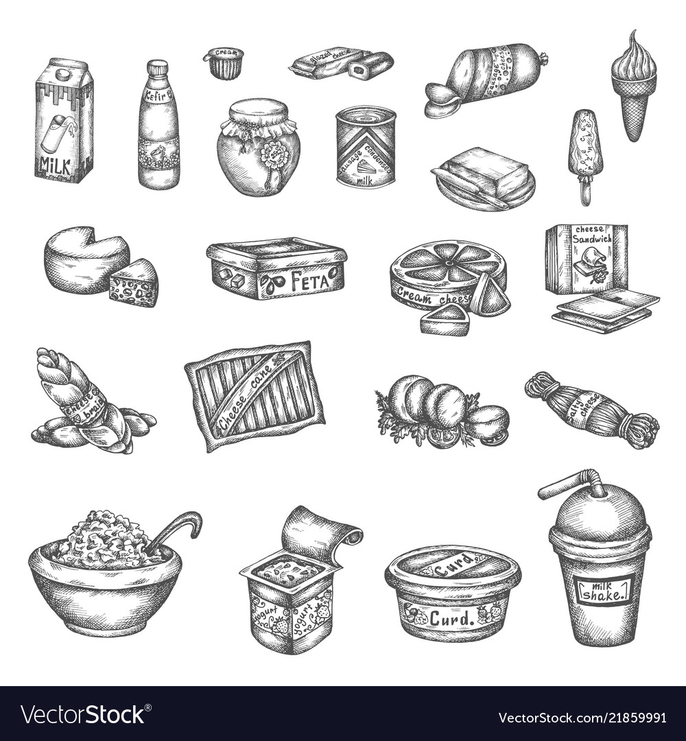 Hand Drawn Dairy Elements Milk Cheese Butter Vector Image