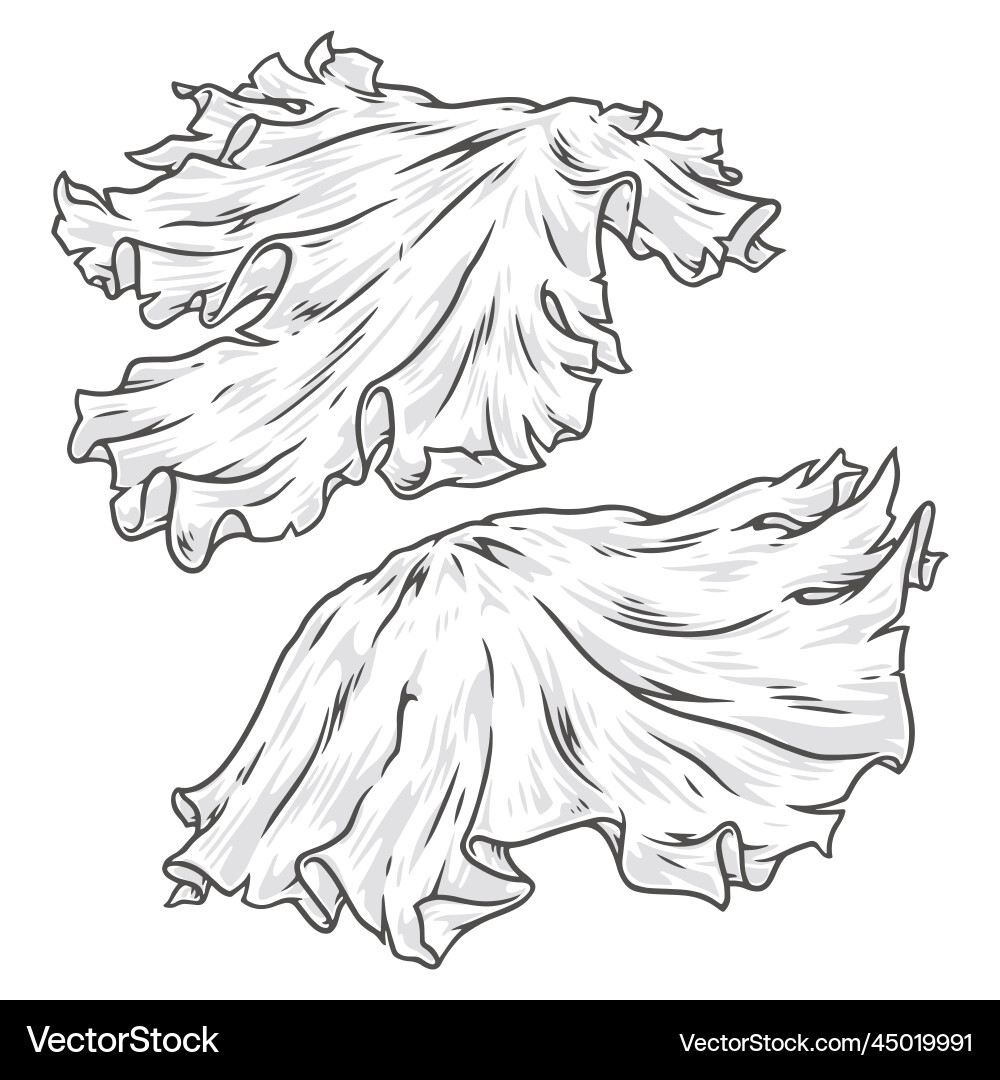 Lettuce leaf sticker monochrome detailed Vector Image