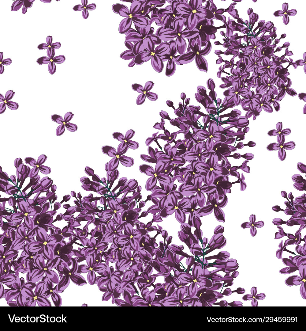 Purple lilac flowers and petals pattern Royalty Free Vector