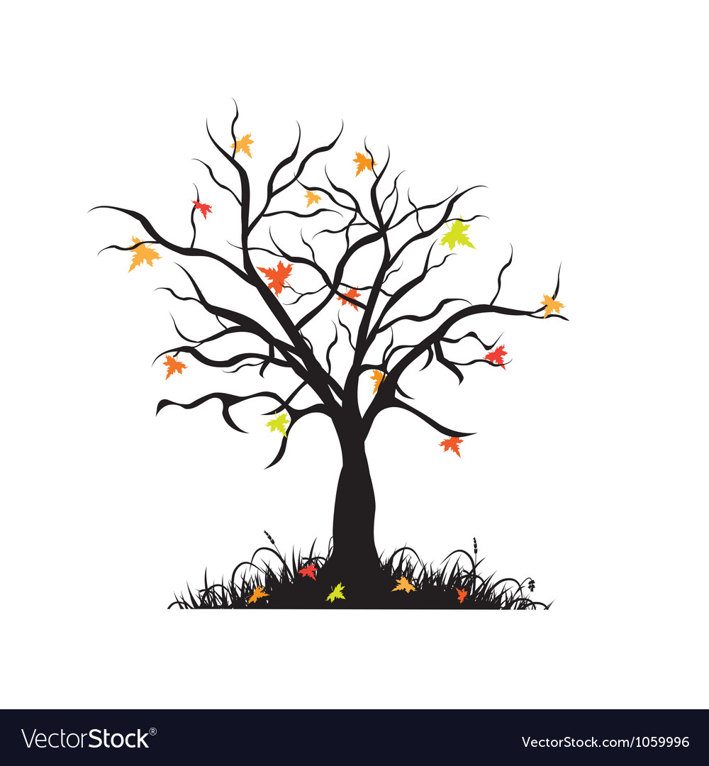 Autumn maple tree Royalty Free Vector Image - VectorStock