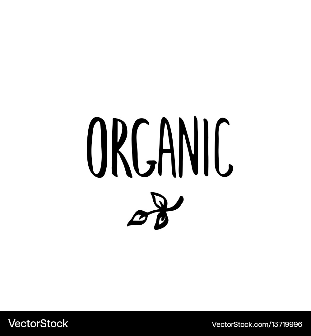 Hand drawn brush lettering organic template Vector Image