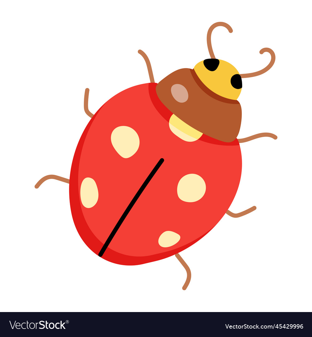 Ladybug Royalty Free Vector Image - VectorStock