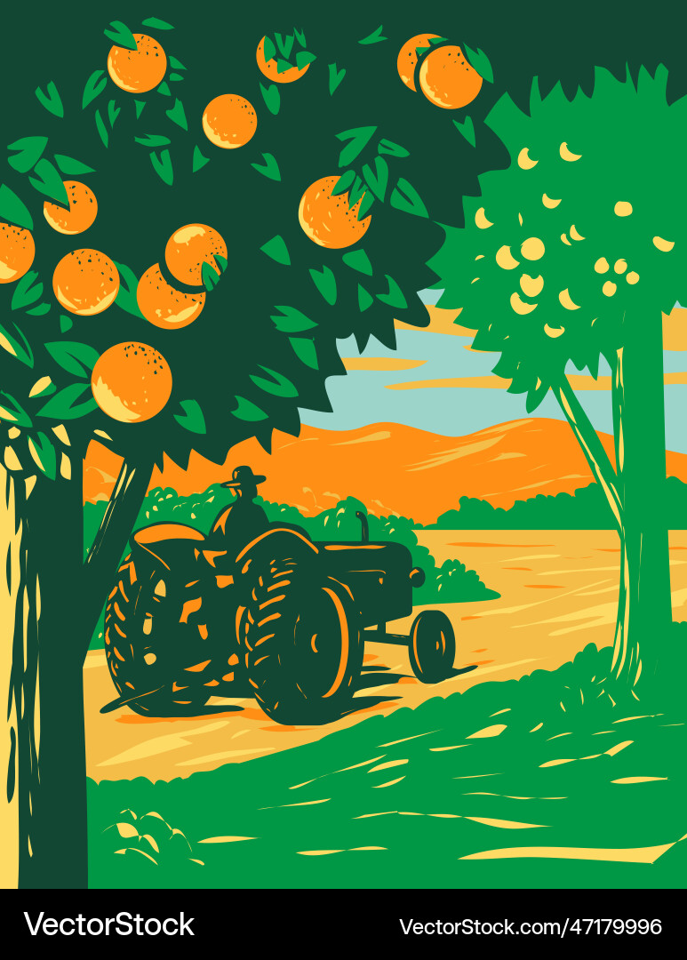 Orange grove in central florida with farmer Vector Image