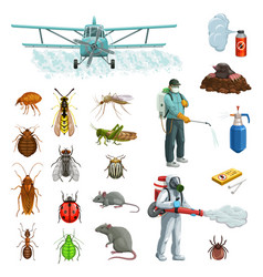 Frame with insects cartoon parasites border Vector Image