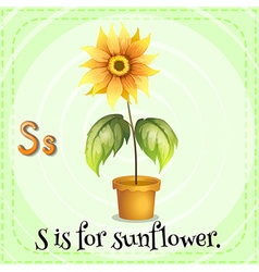 Flashcard letter S is for sunflower Royalty Free Vector