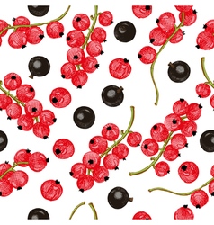 Red currant frame on white background Royalty Free Vector