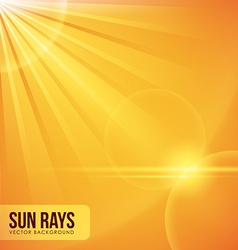 Sun rays design Royalty Free Vector Image - VectorStock