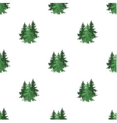 Canadian spruce canada single icon in outline Vector Image