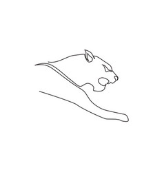 Wild puma Royalty Free Vector Image - VectorStock