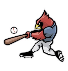 Baseball bird mascot Royalty Free Vector Image