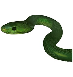 Mamba Snake Vector Images (over 550)